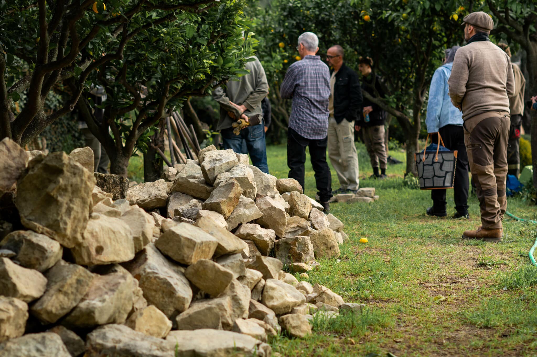 Laboratori: Impara a restaurare i muri a secco